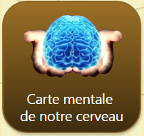 Le cerveau humain en mindmapping | Le Formateur du Web
